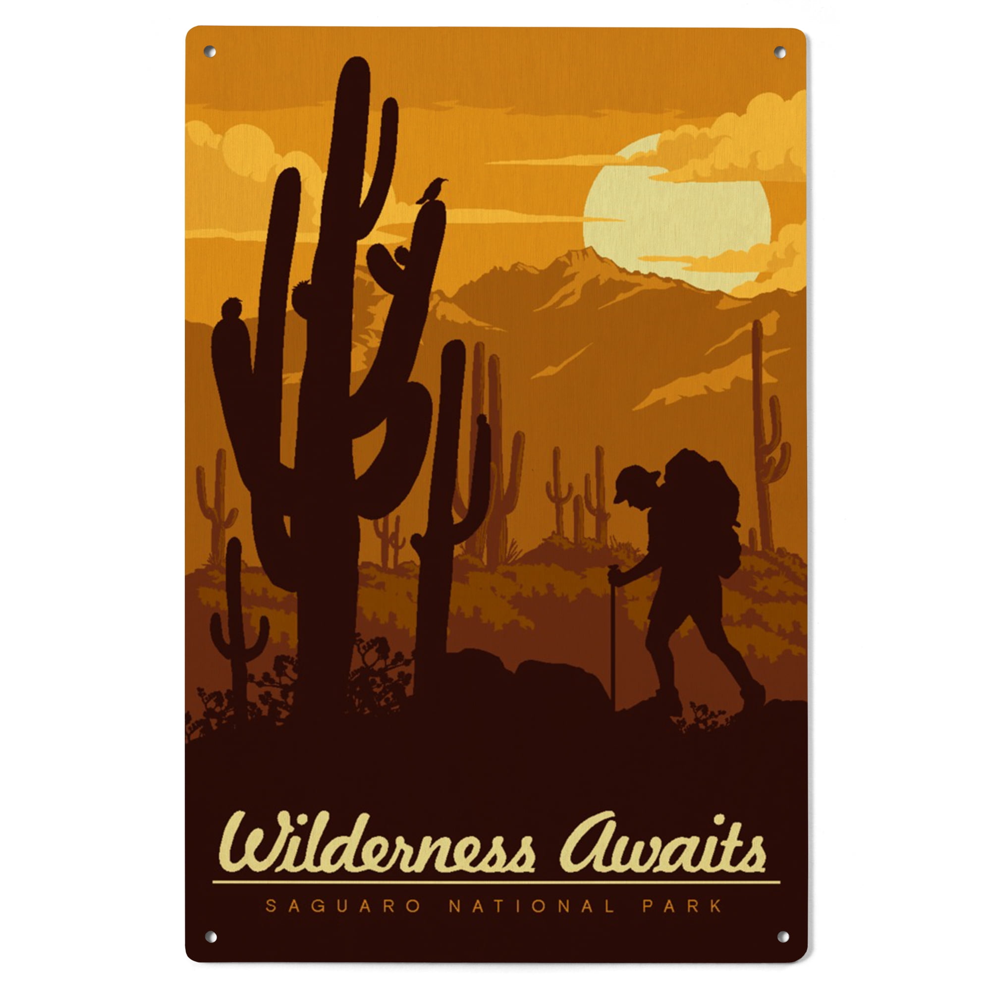 Saguaro National Park, Arizona, Wilderness Awaits, Vector Backpacker ...