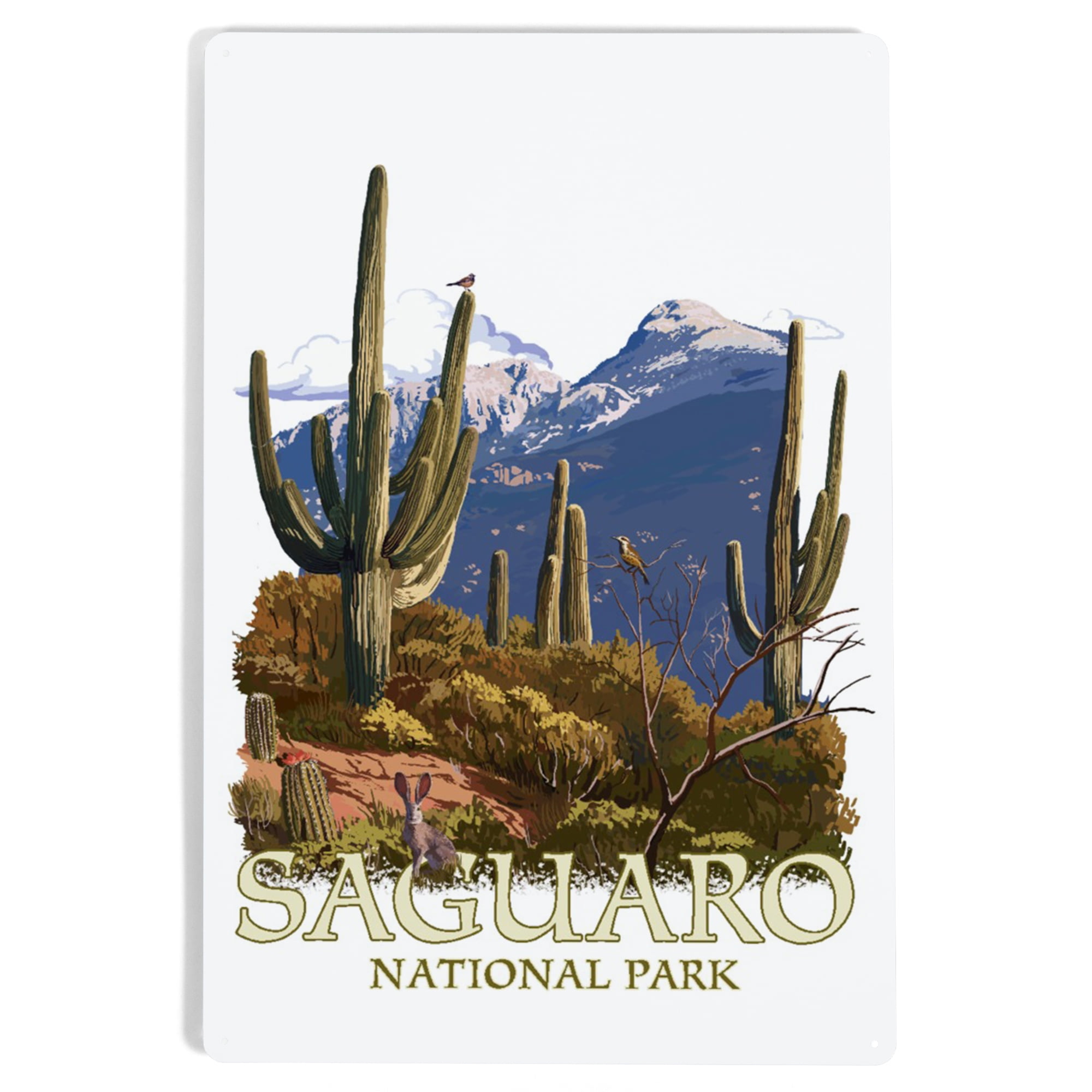 Saguaro National Park, Rincon Peak (12x18 Aluminum Art, Indoor Outdoor ...