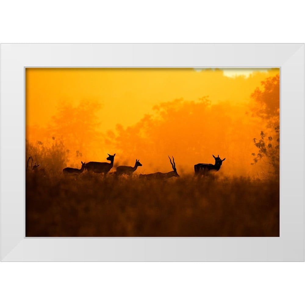 Saha Pramanick, Sunny 32x23 White Modern Wood Framed Museum Art Print Titled - An evening in ...
