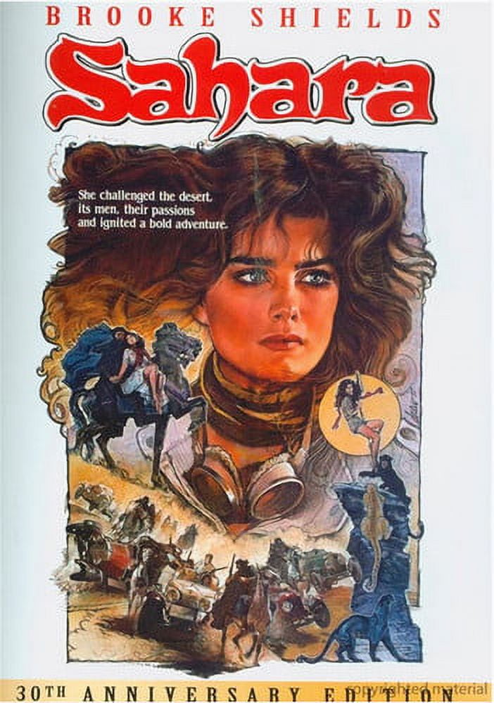 Sahara (DVD), Timeless Media, Action & Adventure - Walmart.com