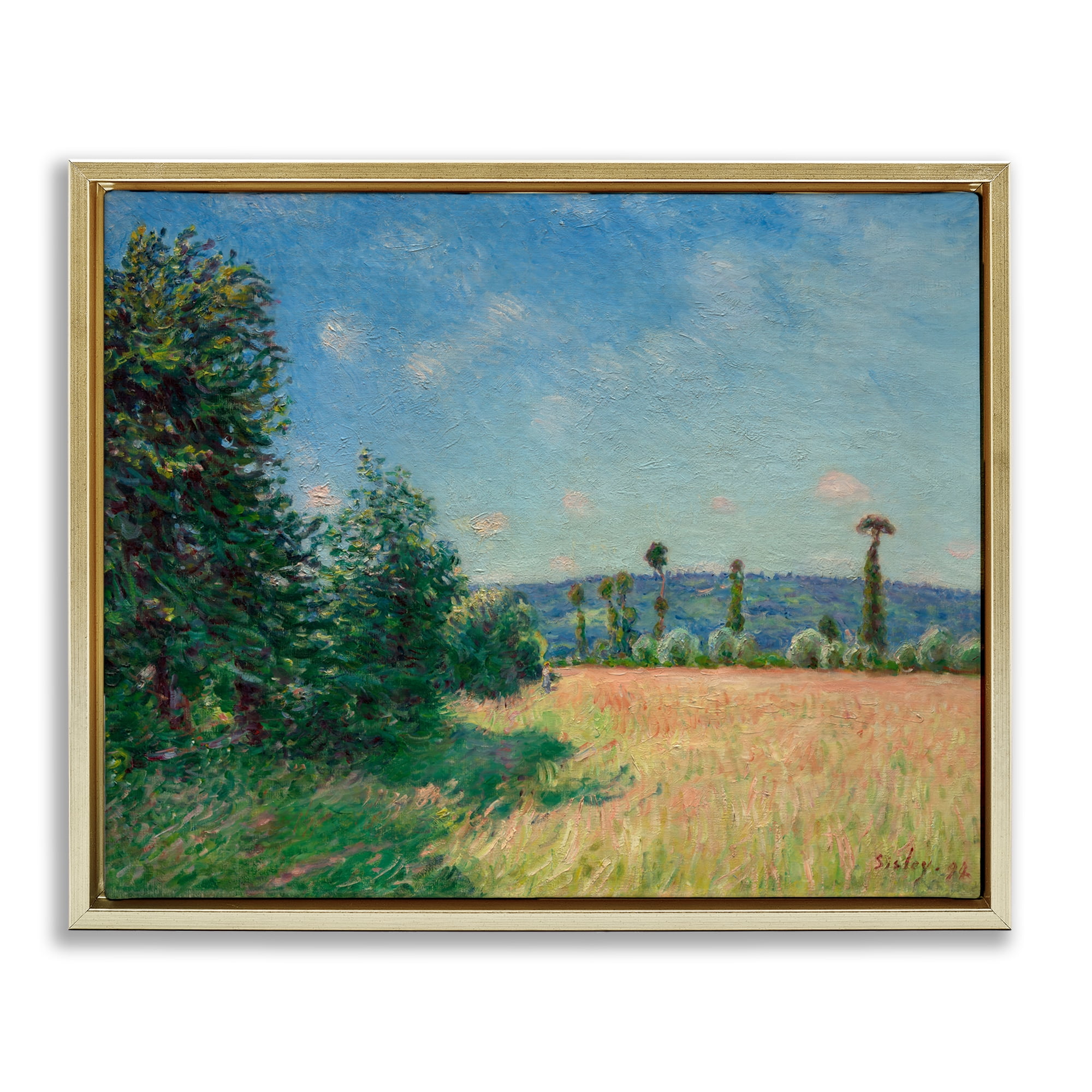 Sahurs Meadows in Morning Sun Gold Framed Floater Canvas Wall Art ...
