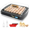 Sailnovo Egg Incubators for Hatching 35-56 Egg Incubator with Automatic ...
