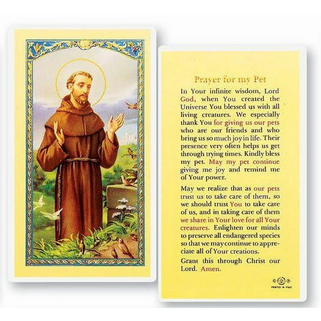 Saint Francis Prayer for My Pet Laminated Catholic Prayer Holy Card with Prayer on Back, Pack of ...