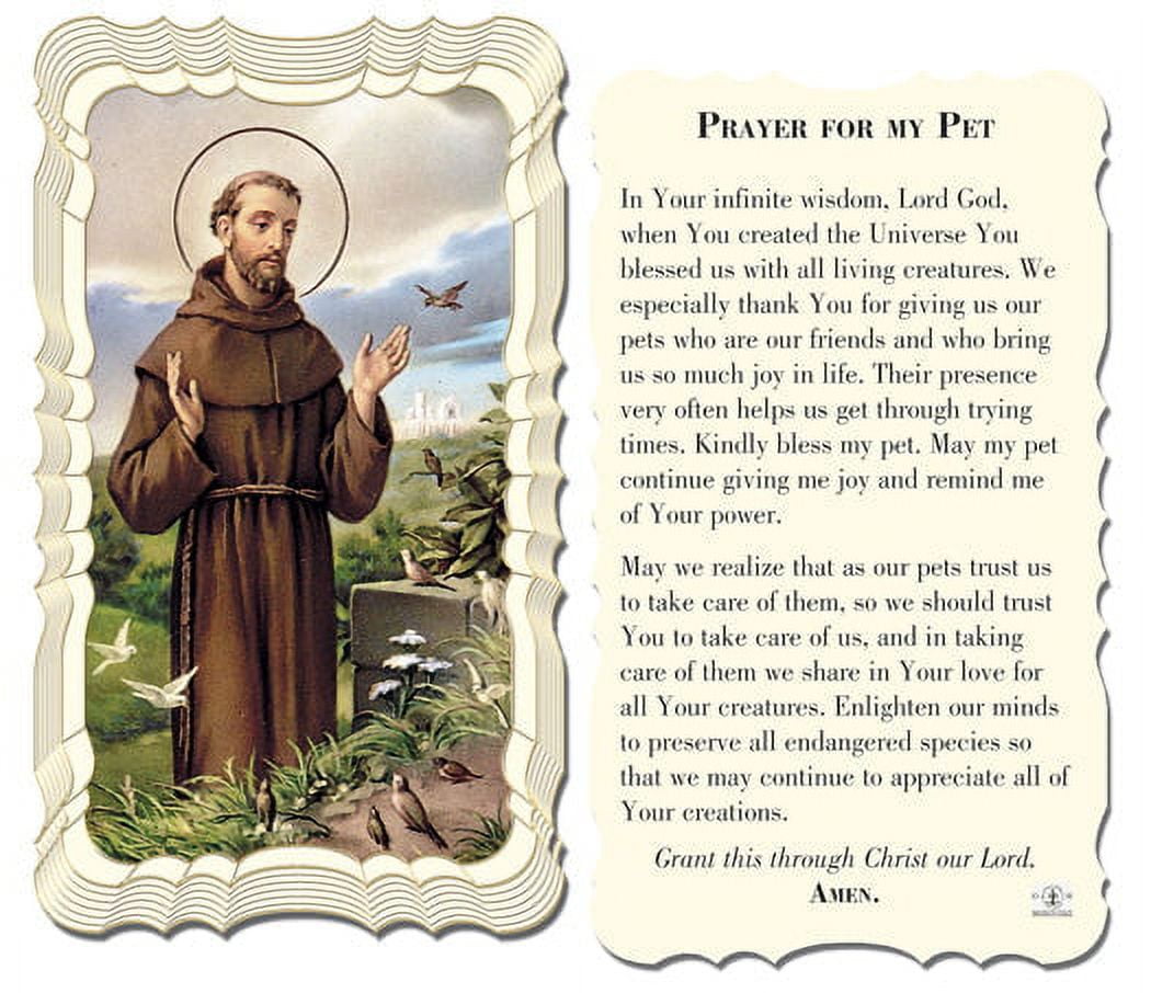 Saint Francis of Assisi Catholic Prayer Holy Card with Prayer on Back ...