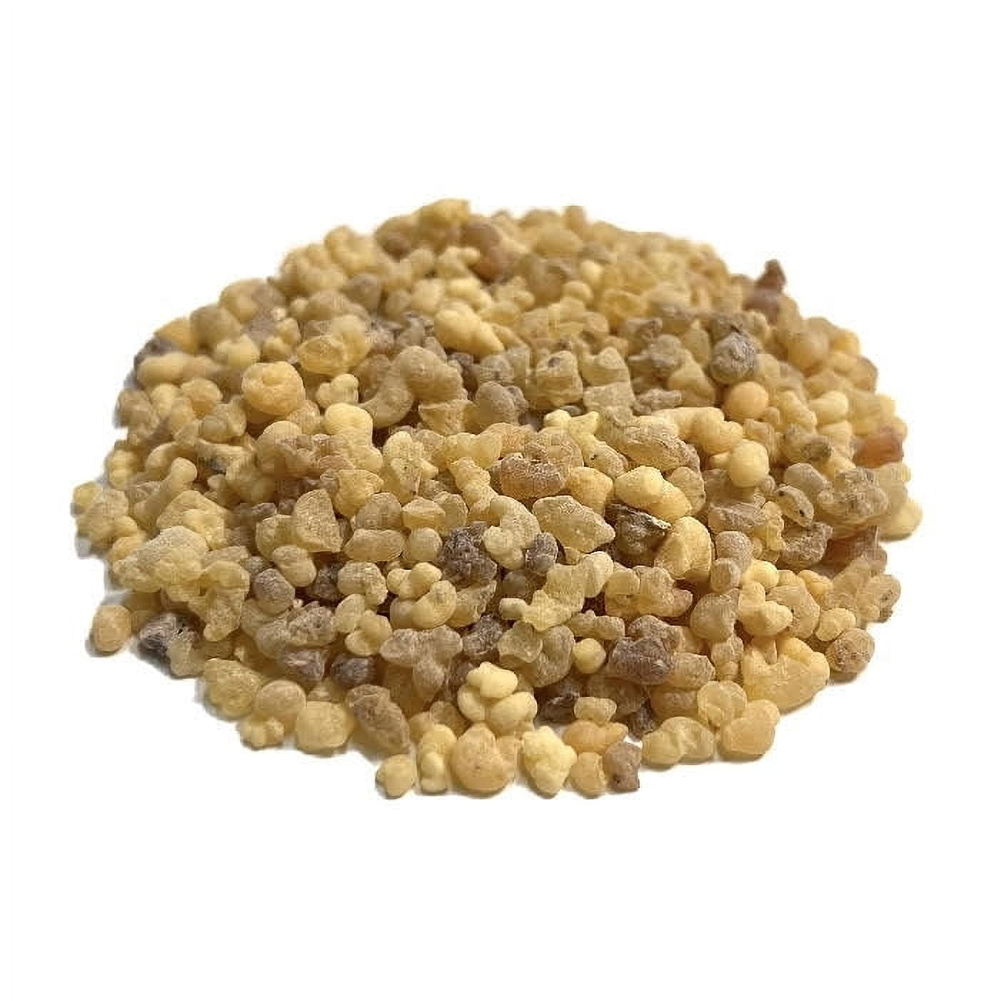 Saint Terra - Frankincense Pea Size Gum Resin Incense from Ethiopia, 8 ...
