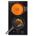 Saitravexia Double/Dual Induction Cooktop 2 Burner, Shatter-proof Flat ...