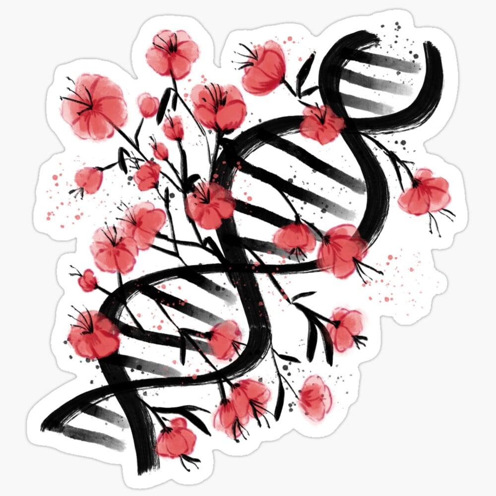 Sakura Sumie Dna Sticker Phone Decal Water Bottle Stickers Car Decals ...