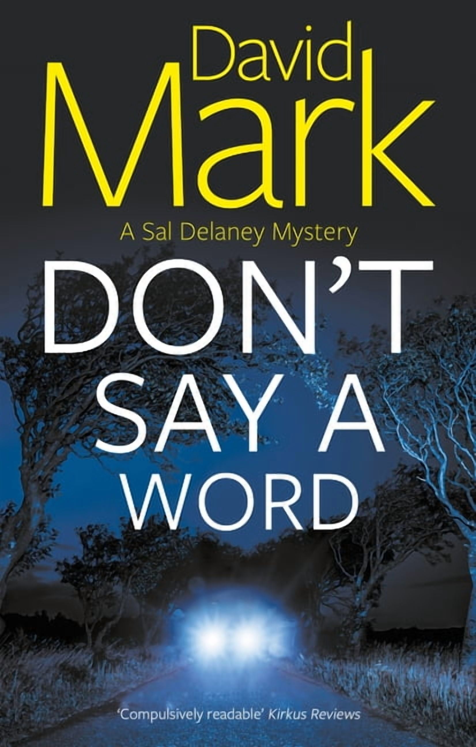 Sal Delaney Mystery Don't Say a Word, Book 2, (Paperback) - Walmart.com