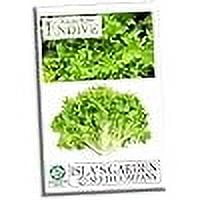 Salad King Endive Seeds for Planting, 1000+ Heirloom Seeds Per Packet ...