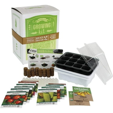 Indoor Culinary Herb Garden Starter - Basic Kit - 6 Non-GMO Varieties ...
