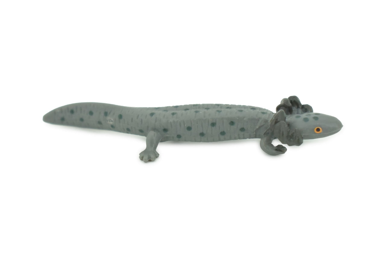 Salamander, Gray, Amphibian, Axolotl, Water Dog, High Quality, Hand ...