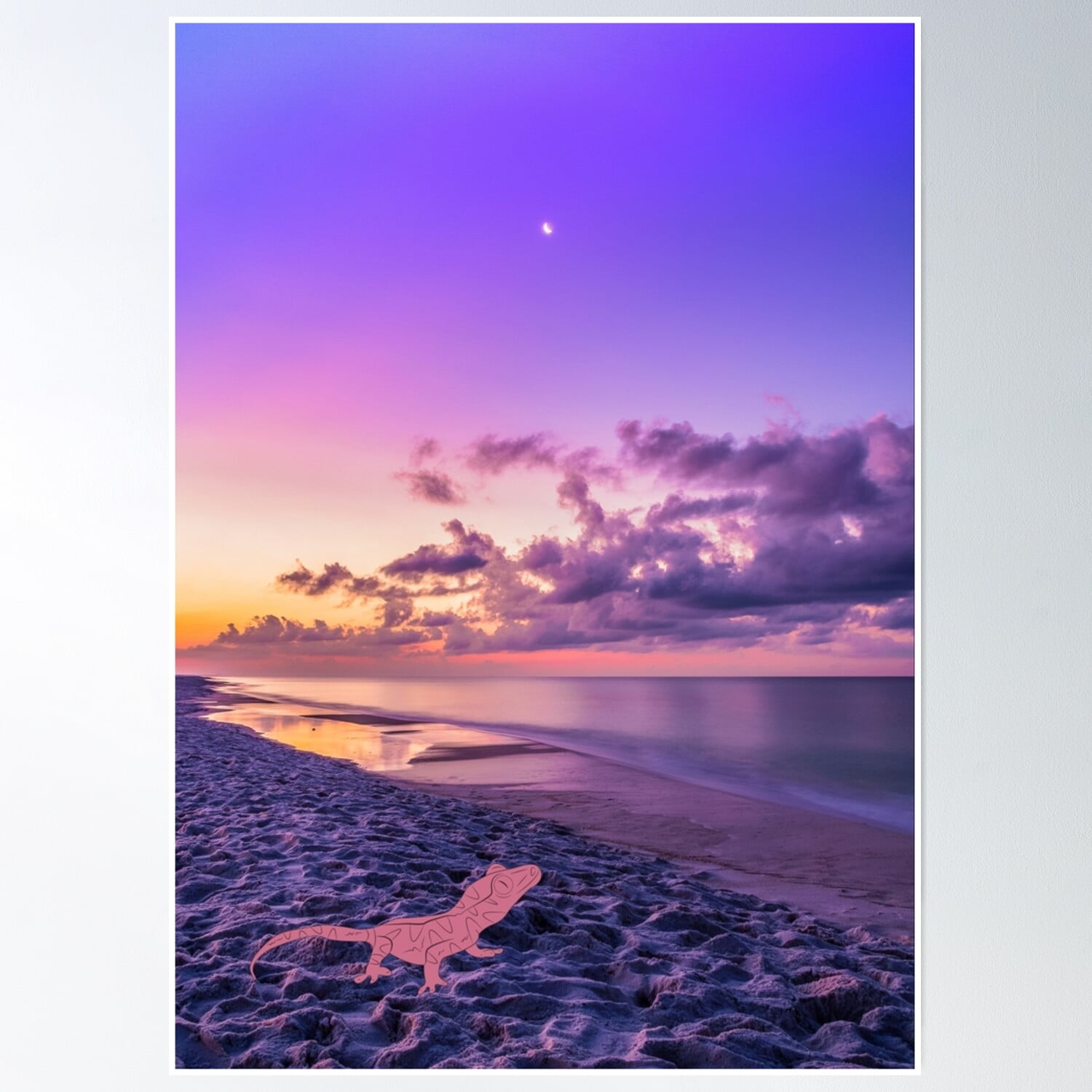 Salamander Poster Wall Art, Modern Wall Decor, 8x12 UNFRAMED - Walmart.com