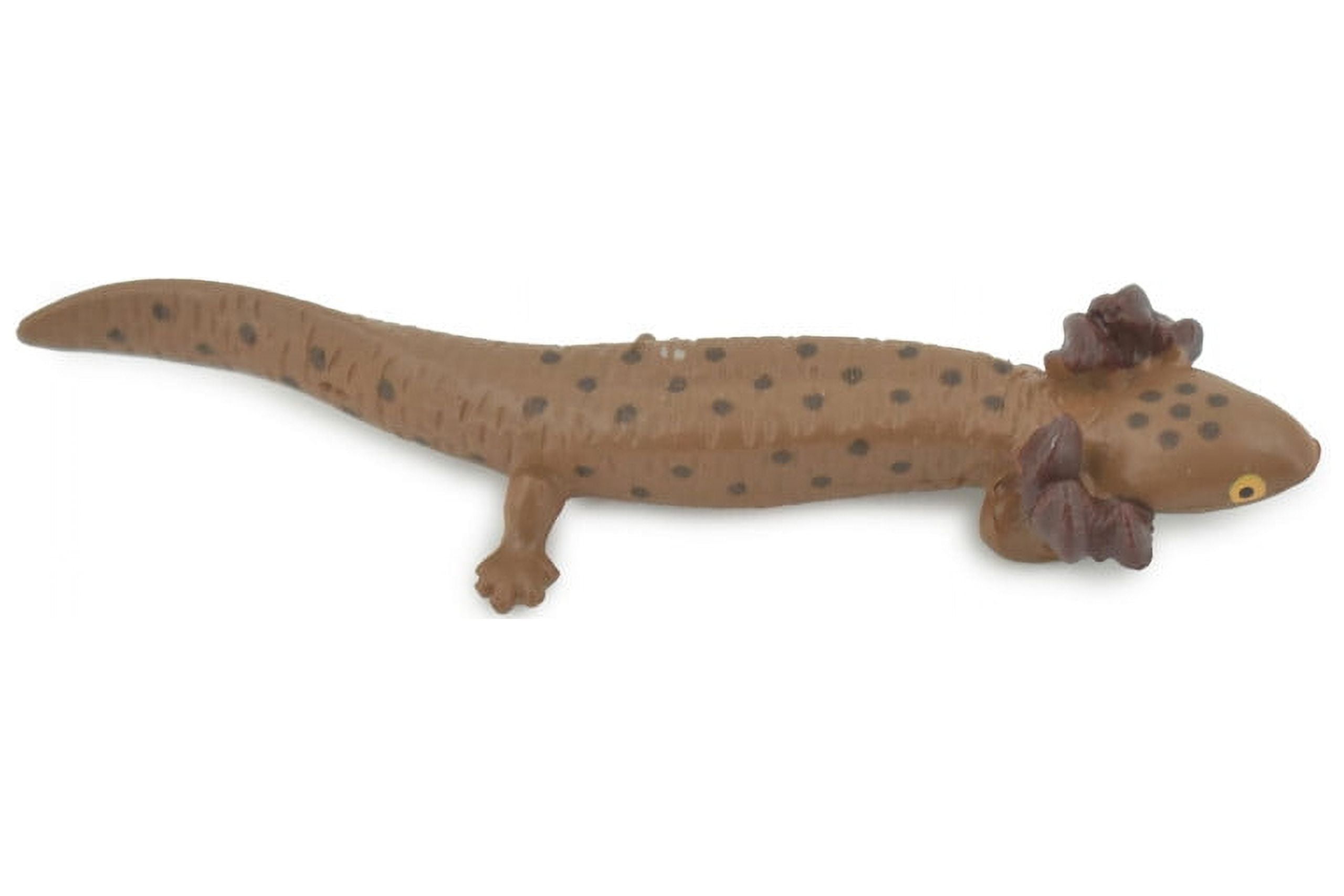 Giant Red Salamander