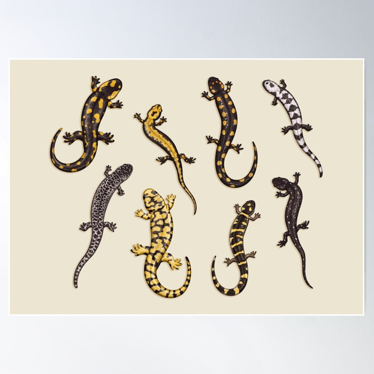 Salamanders Poster Wall Art, Modern Wall Decor For Living Room Bedroom ...