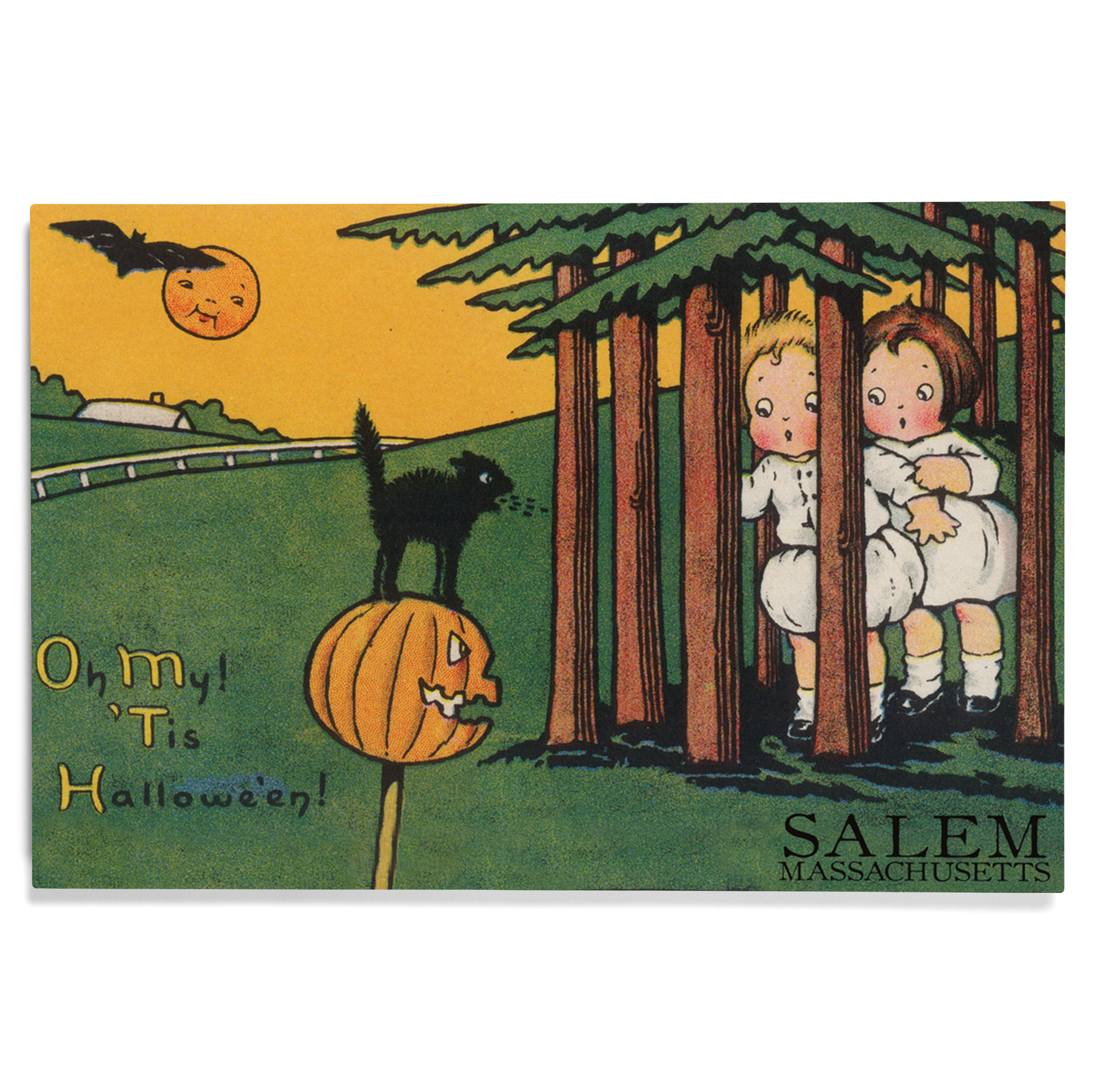 Salem, Massachusetts, Halloween Kids and Black Cat, Vintage Postcard ...
