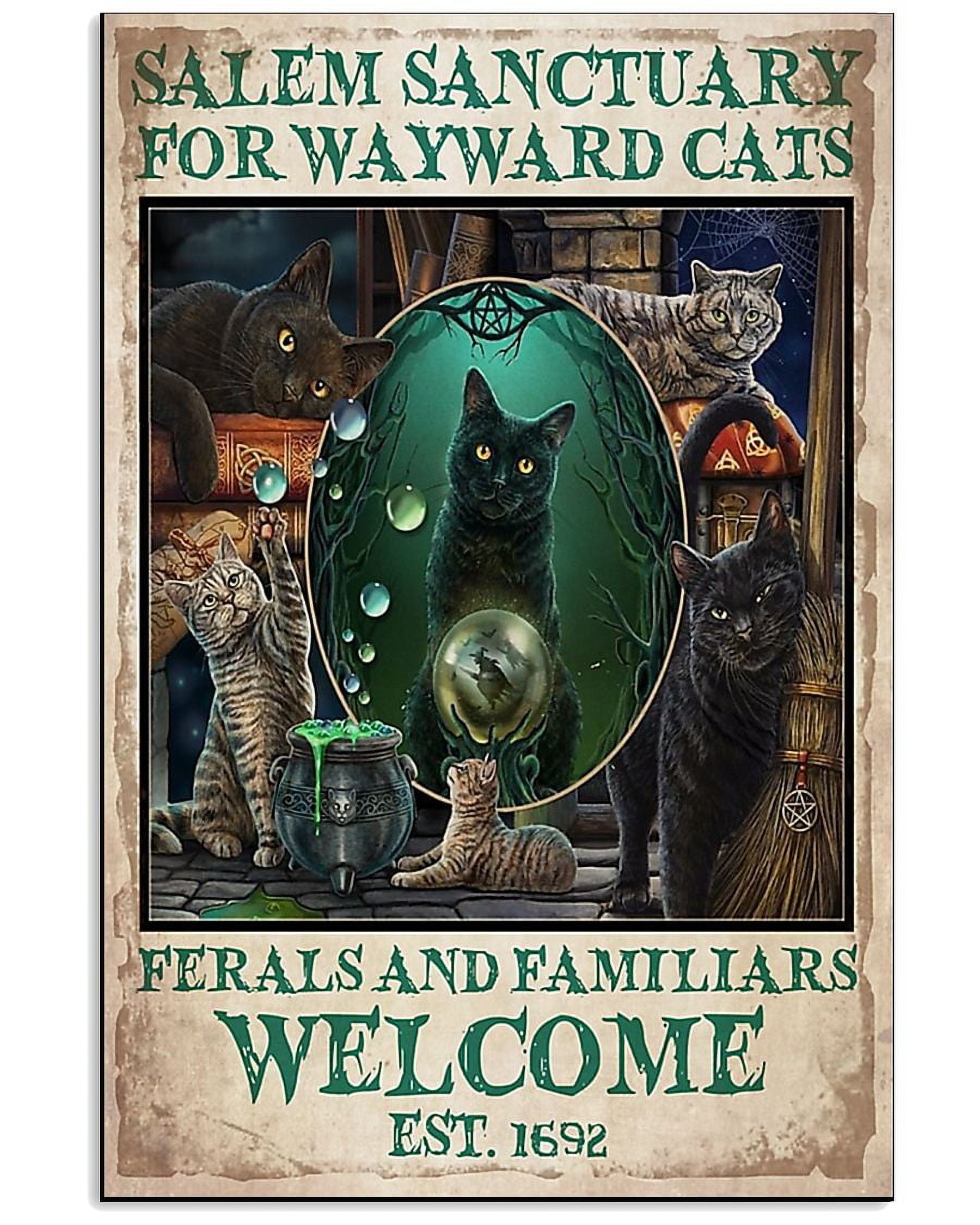 Salem Sanctuary For Wayward Cats Welcome Est 1692 Poster 16 x 24 Inch Poster - Walmart.com