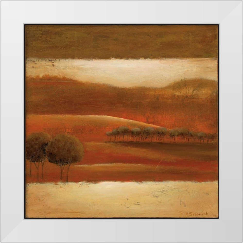 Salemink-Roos, Ursula 20x20 White Modern Wood Framed Museum Art Print ...