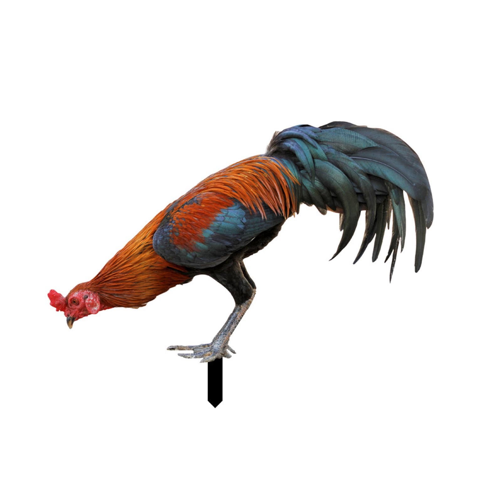 Sales Today Clearance! Bifavgk Rooster Acrylic Outdoor Garden Ground ...