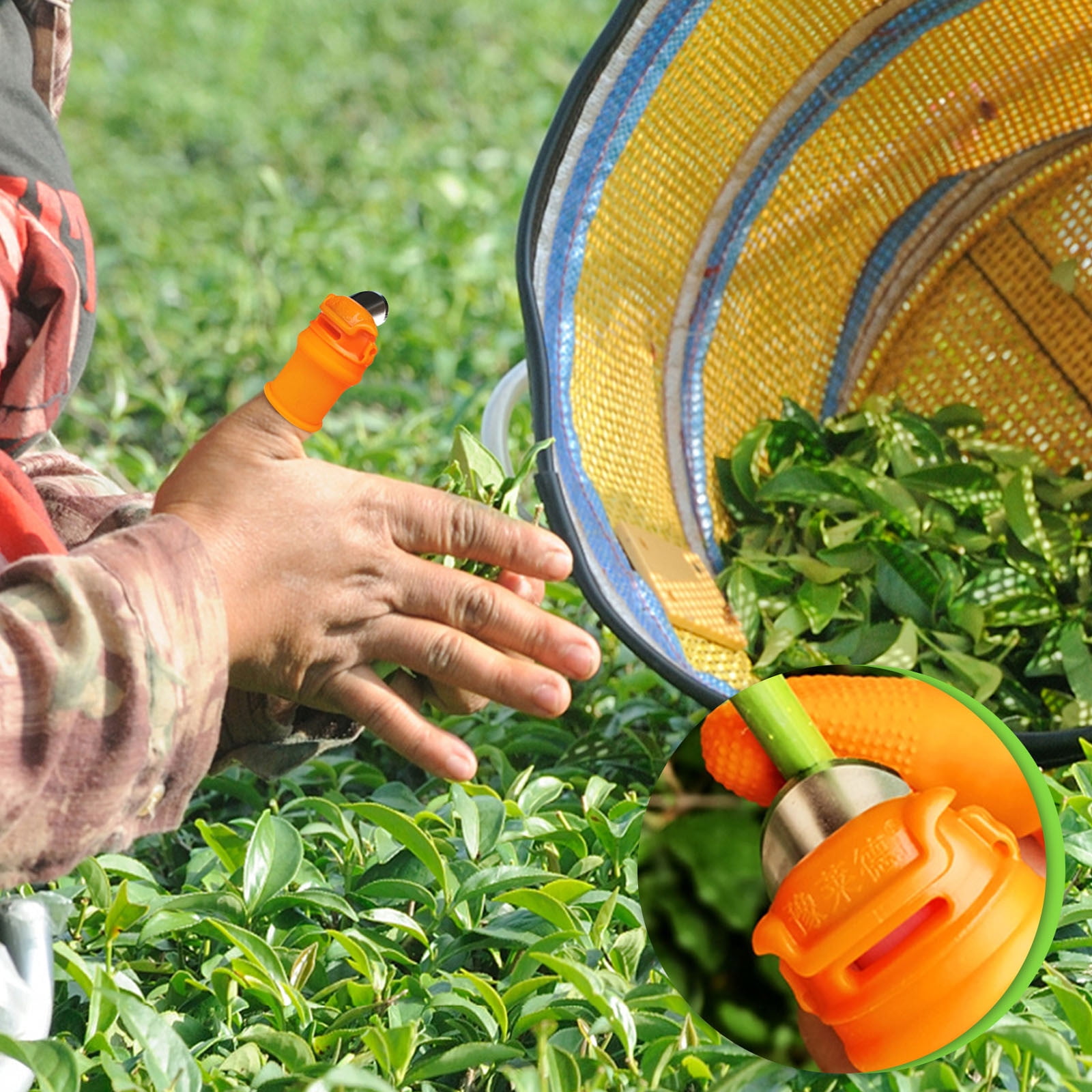 Sales Today Clearance! FAJHHA Finger Guards for Vegetable Picking ...