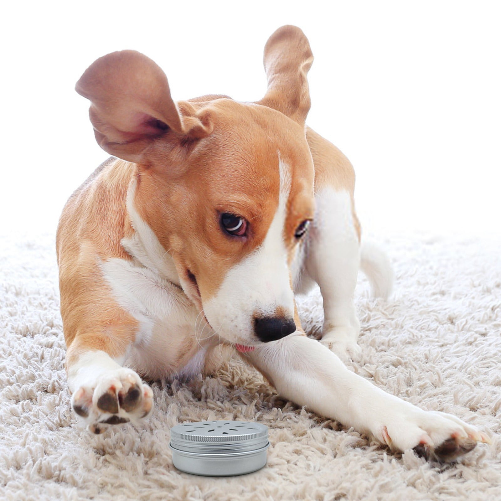 Sales Today Clearance! Fragrances Trainings Kit Aluminium Dog ...