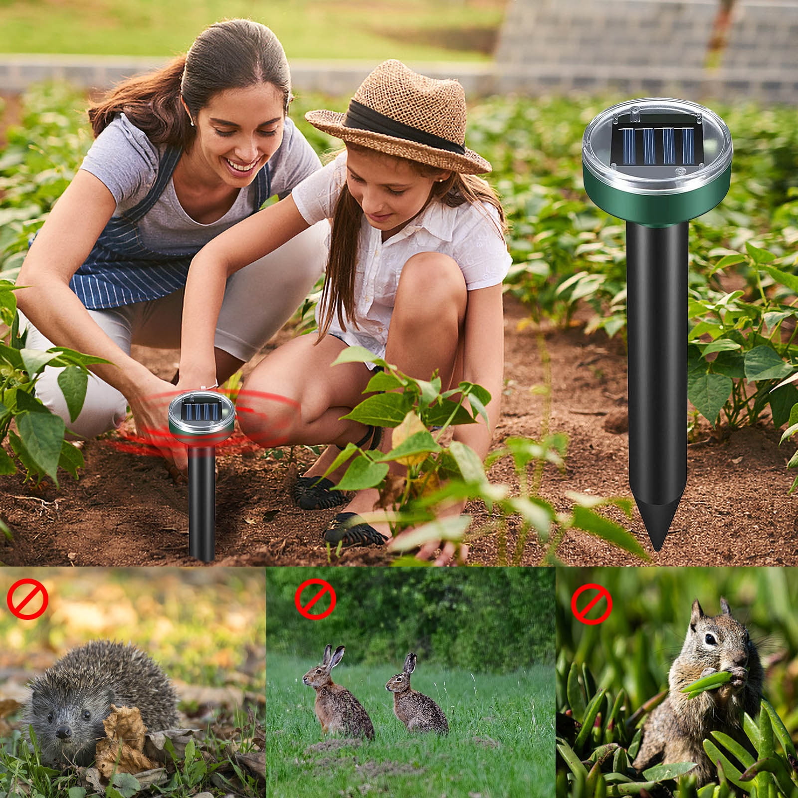 Sales Today Clearance! Solar Outdoor Low-Frequency Snake and Bird ...