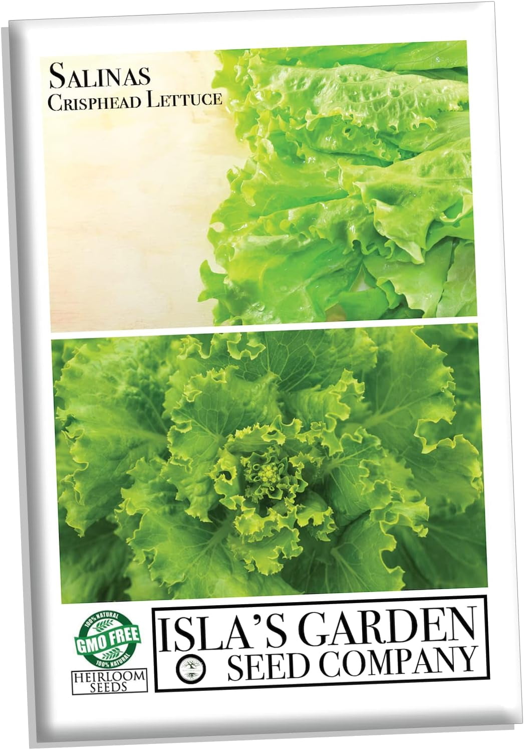 Salinas Crisphead Lettuce Seeds for Planting, 1000+ Heirloom Seeds Per ...