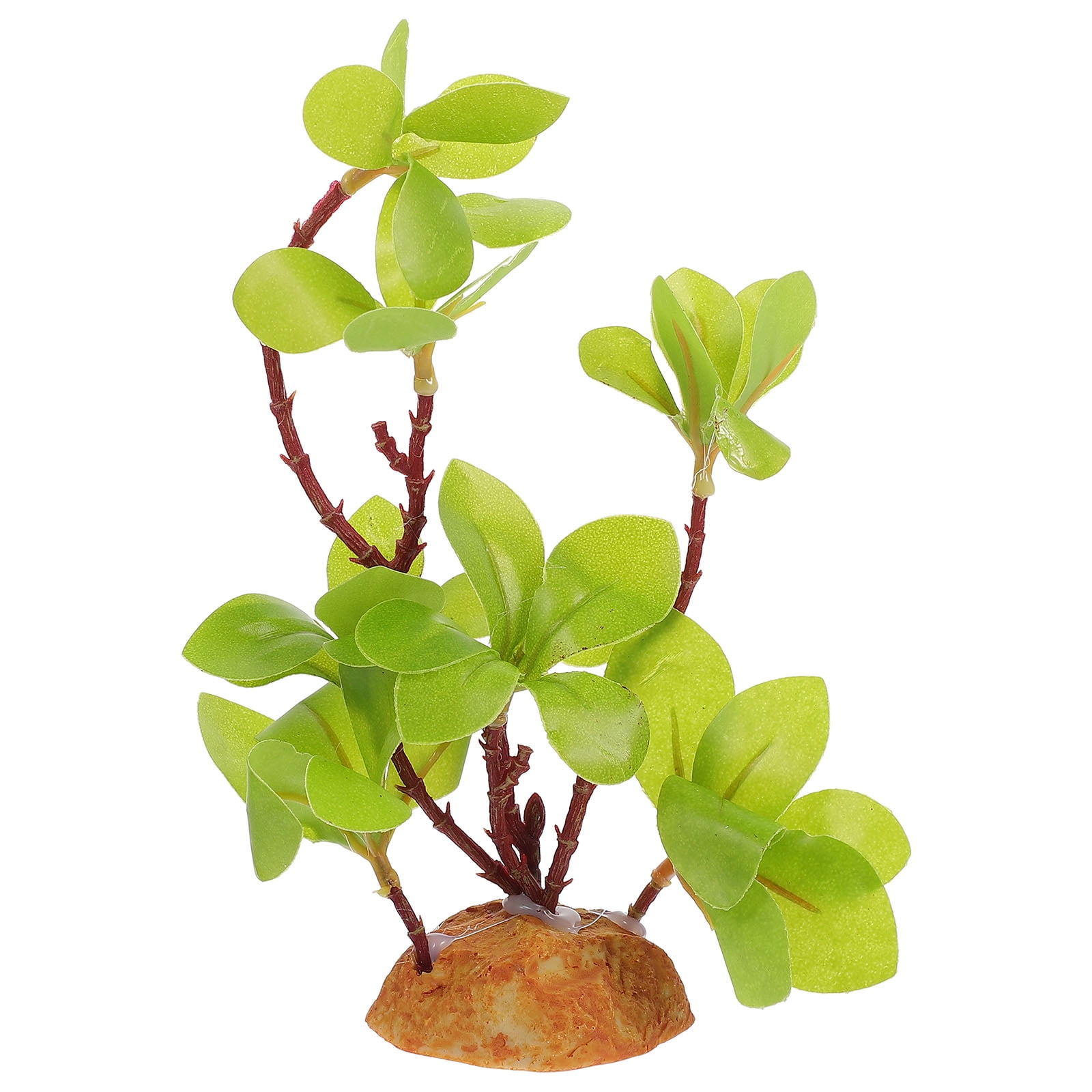 Salinist Plastic Terrarium with Lifelike Plants for Amphibian Habitat ...