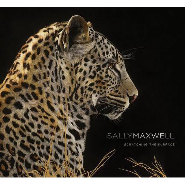 Sally Maxwell : Scratching the Surface - Walmart.com Sally Maxwell : Scratching the Surface - Walmart.com