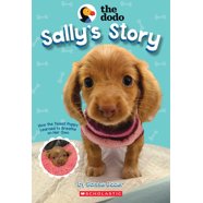 Scholastic Reader: Level 1 Buddy to the Rescue (Bob Books Stories ...