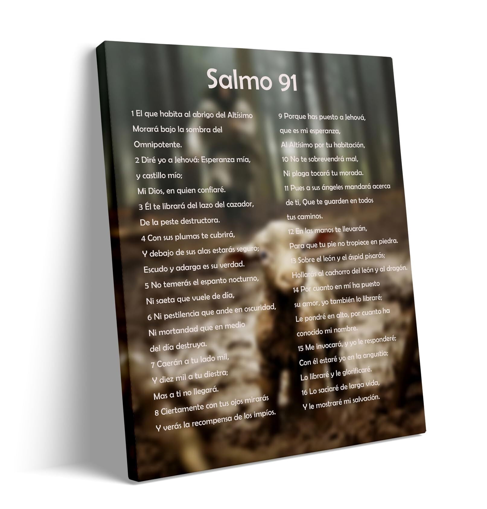 Salmo 91 En Español Para Pared, Psalm 91 Wall Art, Cuadros Cristianos ...