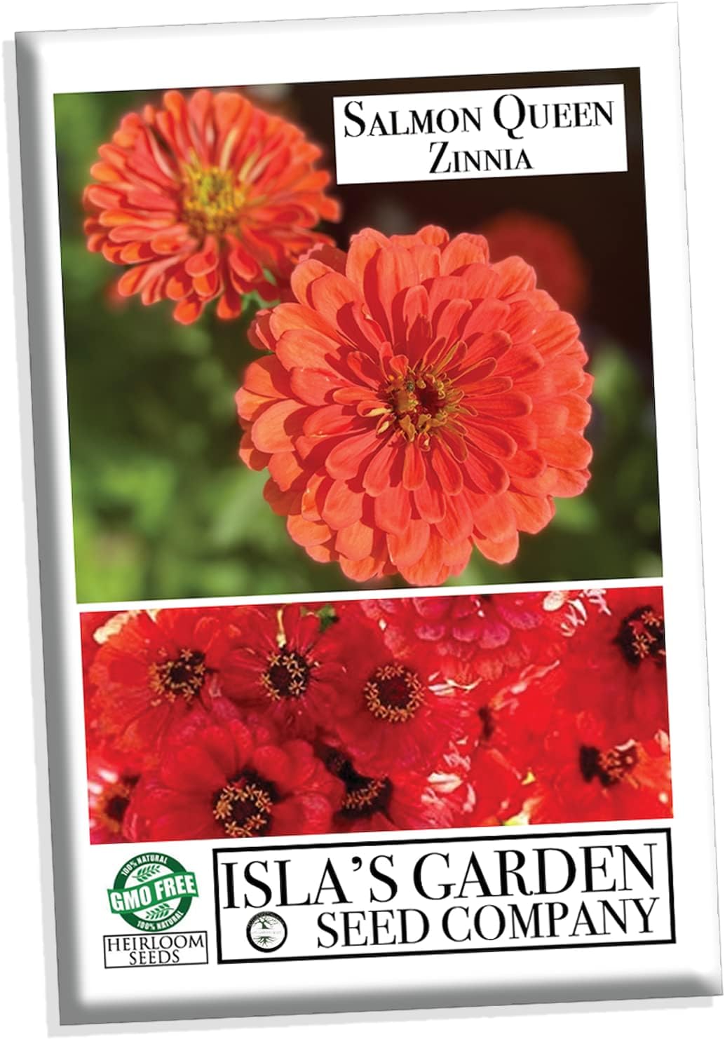 "Salmon Queen" Zinnia Flower Seeds, 50 Heirloom Flower Seeds Per Packet ...