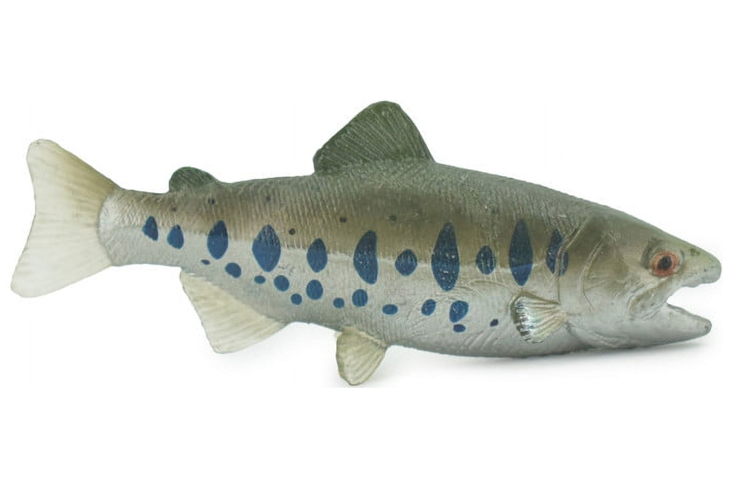 Salmon Toy Hatchling, alevins, Salmonidae, Museum Quality, Hand Painted ...