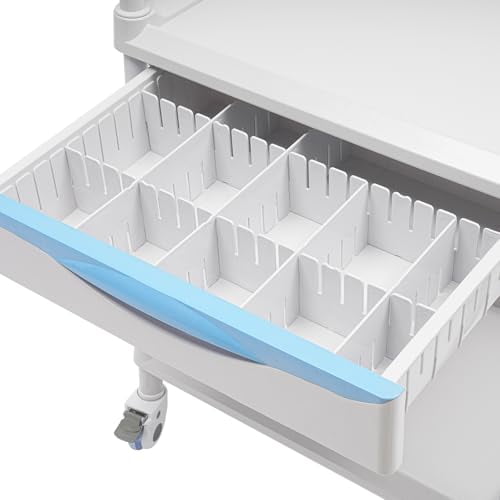 Salon Cart, 2-Tier Salon Trolley Cart Rolling Tool Cart with 1 Drawer ...