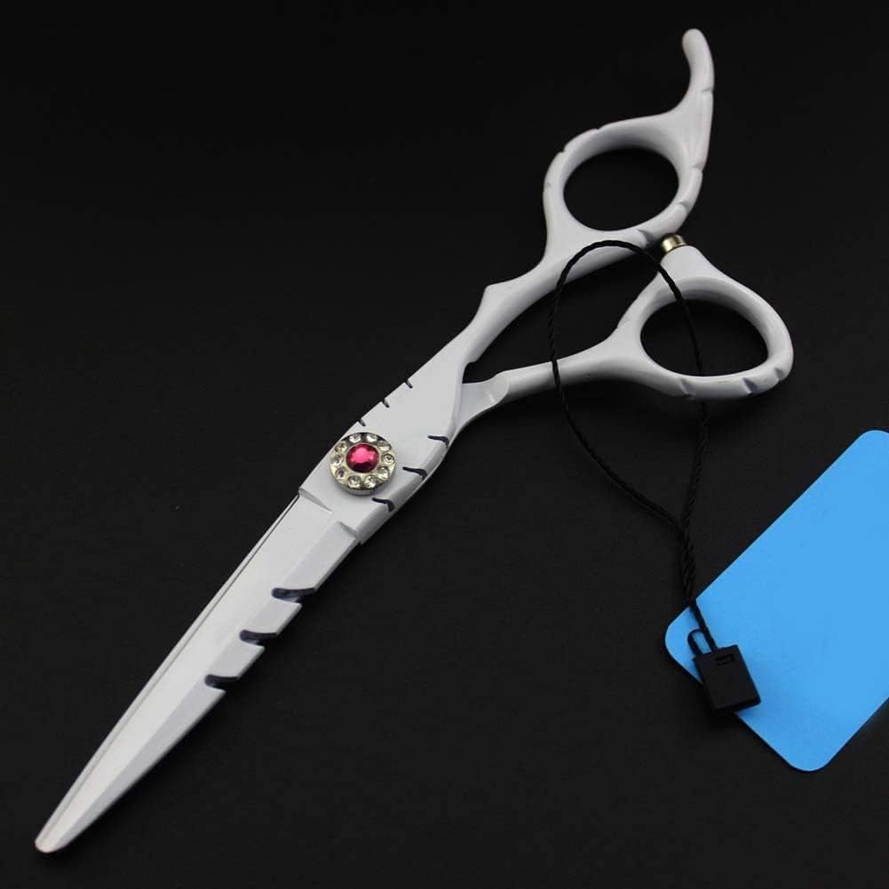 Salon Home Shear Kit for Men Women Pet Hairdressing Scissors Kits ...