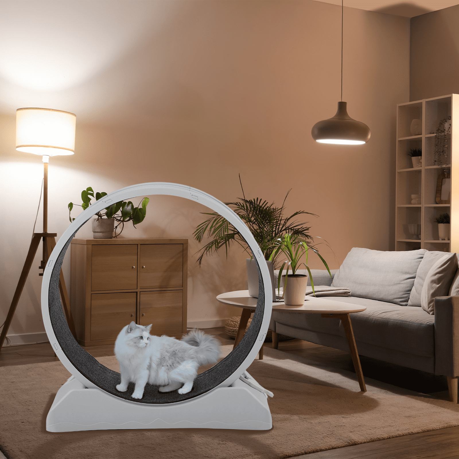 SalonMore 31'' Indoor & Outdoor Cat Exercise Wheel with Carpeted Runway ...