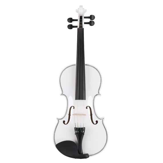 SalonMore 4/4 Violin Set, Full Size Violin Mini Electric Violin for ...