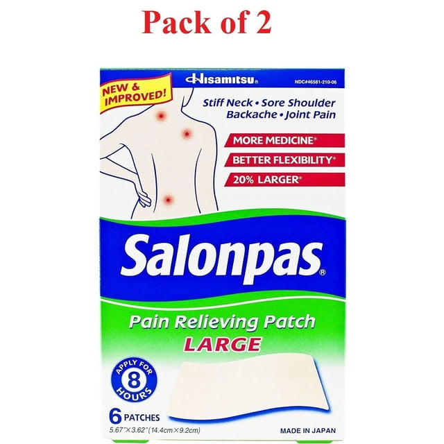 Salonpas Large Pain Relief Patch for Muscle & Back, Flexible, 6 ct 2 ...