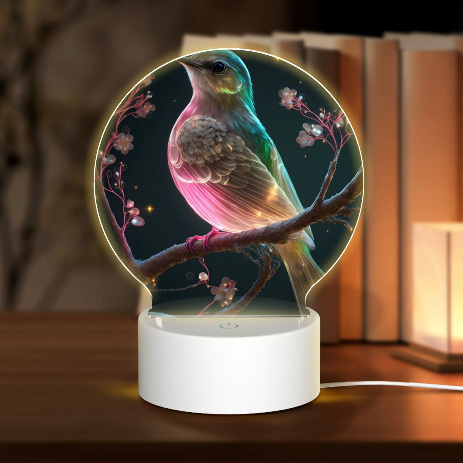 Salouo Bird5 for Round Acrylic Night Light - Acrylic Sheets with LED ...