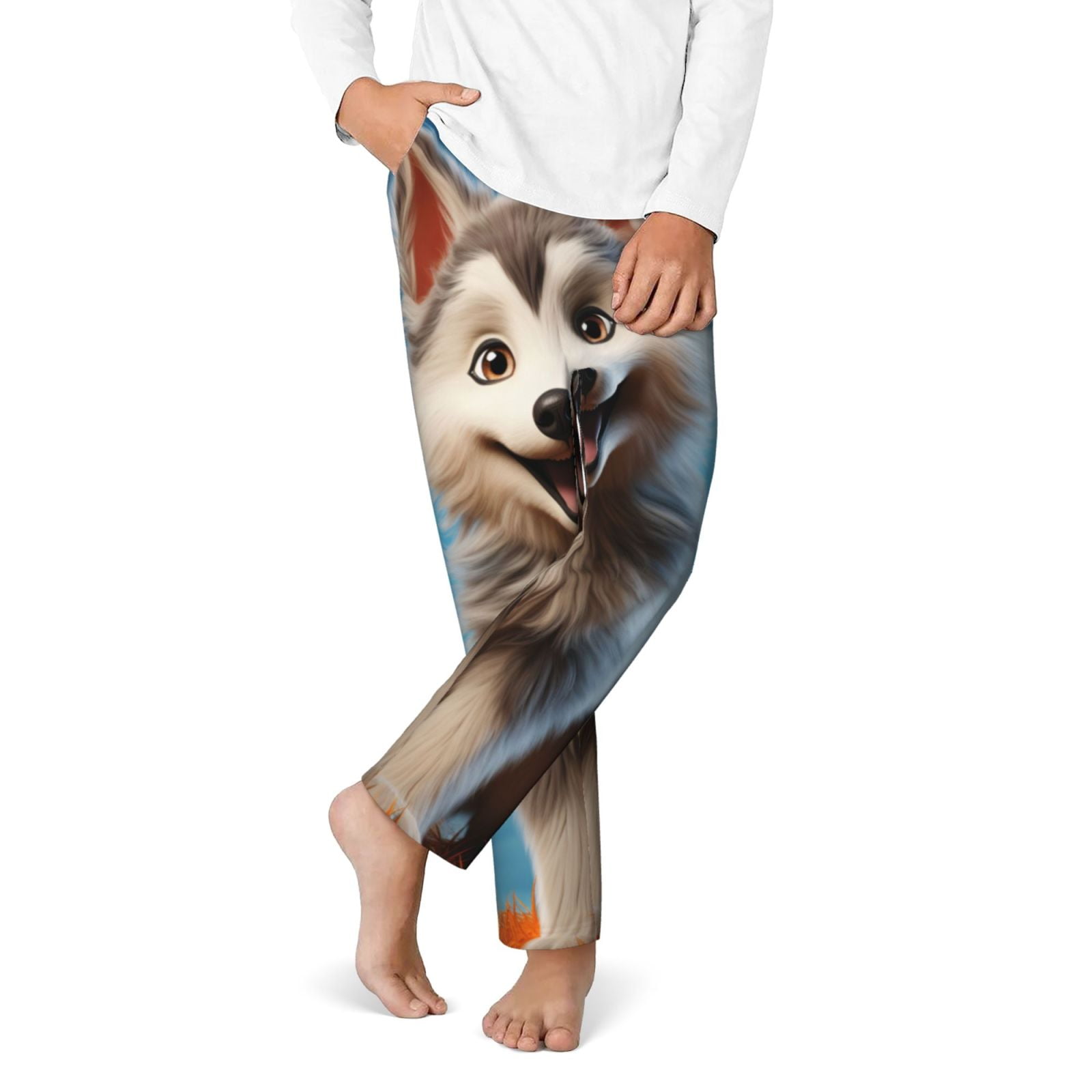 Salouo Blue Sky Cute Wolf Pattern Boys Pajama Pants,Long Sleep Pants ...