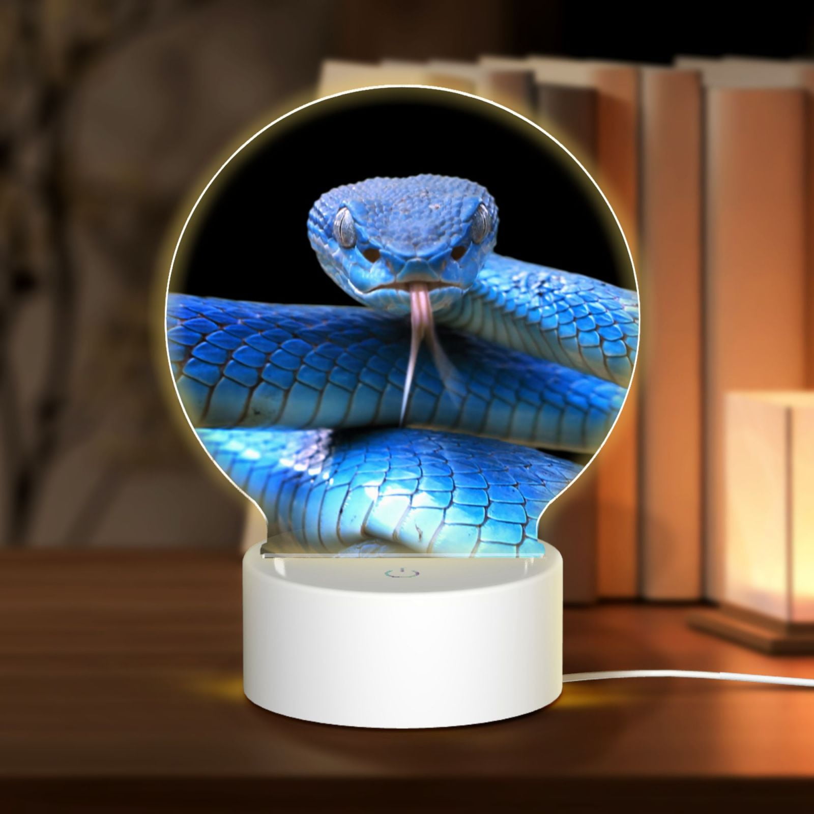 Salouo Blue Viper Snake 2 for Round Acrylic Night Light - Acrylic ...