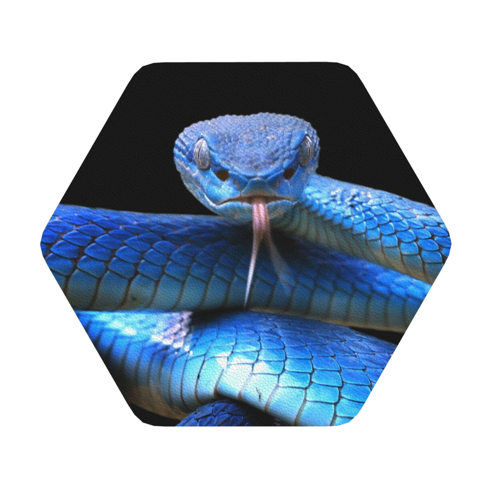 Salouo Blue Viper Snake Print Round Coaster,Drink Coasters Leather Bar ...