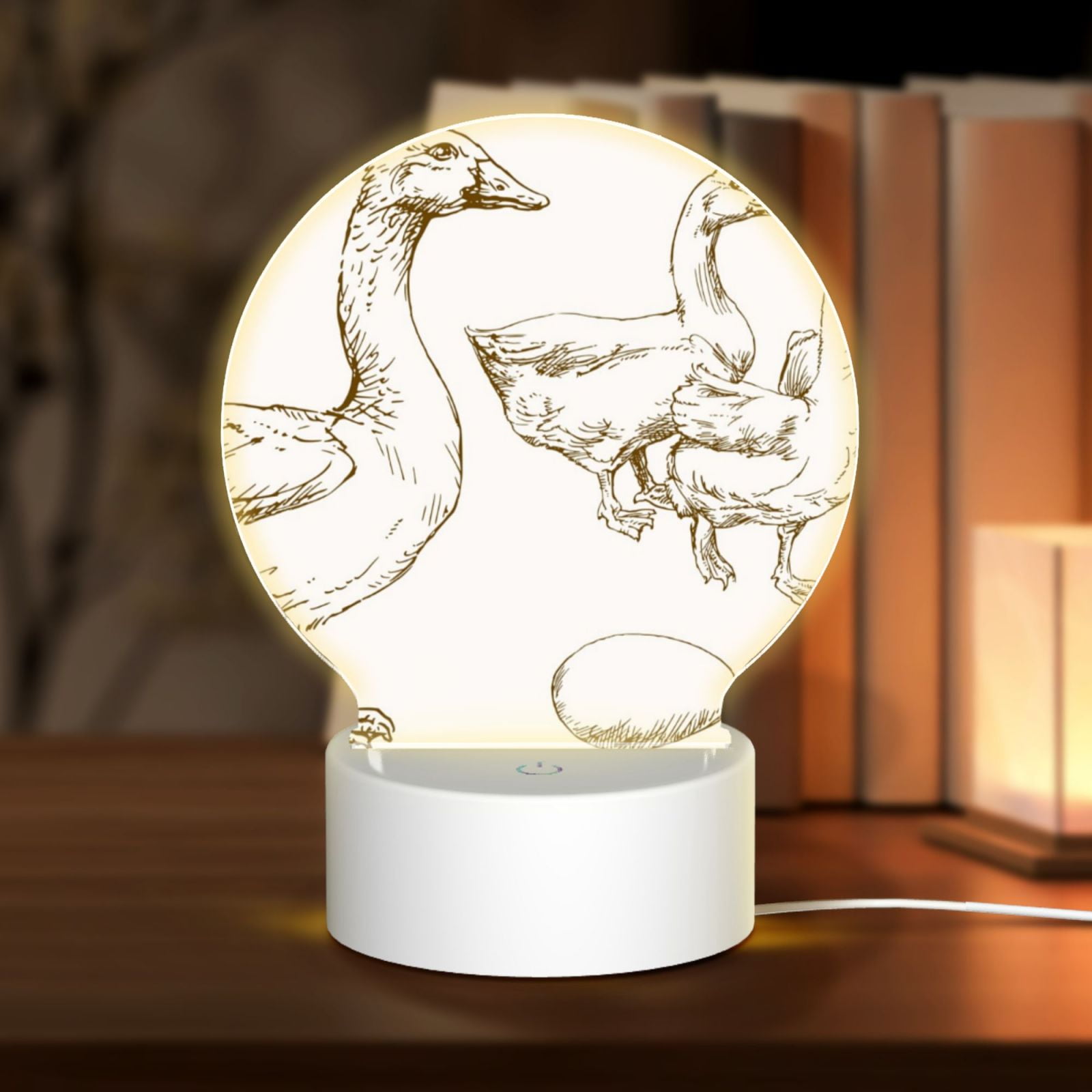 Salouo Hand Drawn Goose for Round Acrylic Night Light - Acrylic Sheets ...