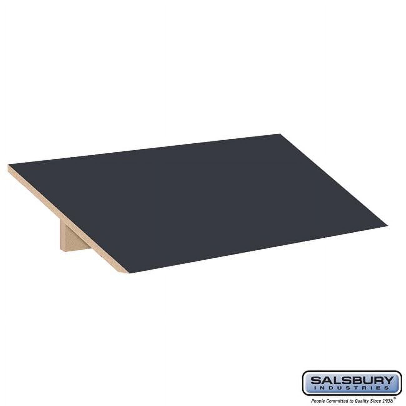 Salsbury Industries 44356CM Sloping Hood for 12 in. Wide - 18 in. Deep ...