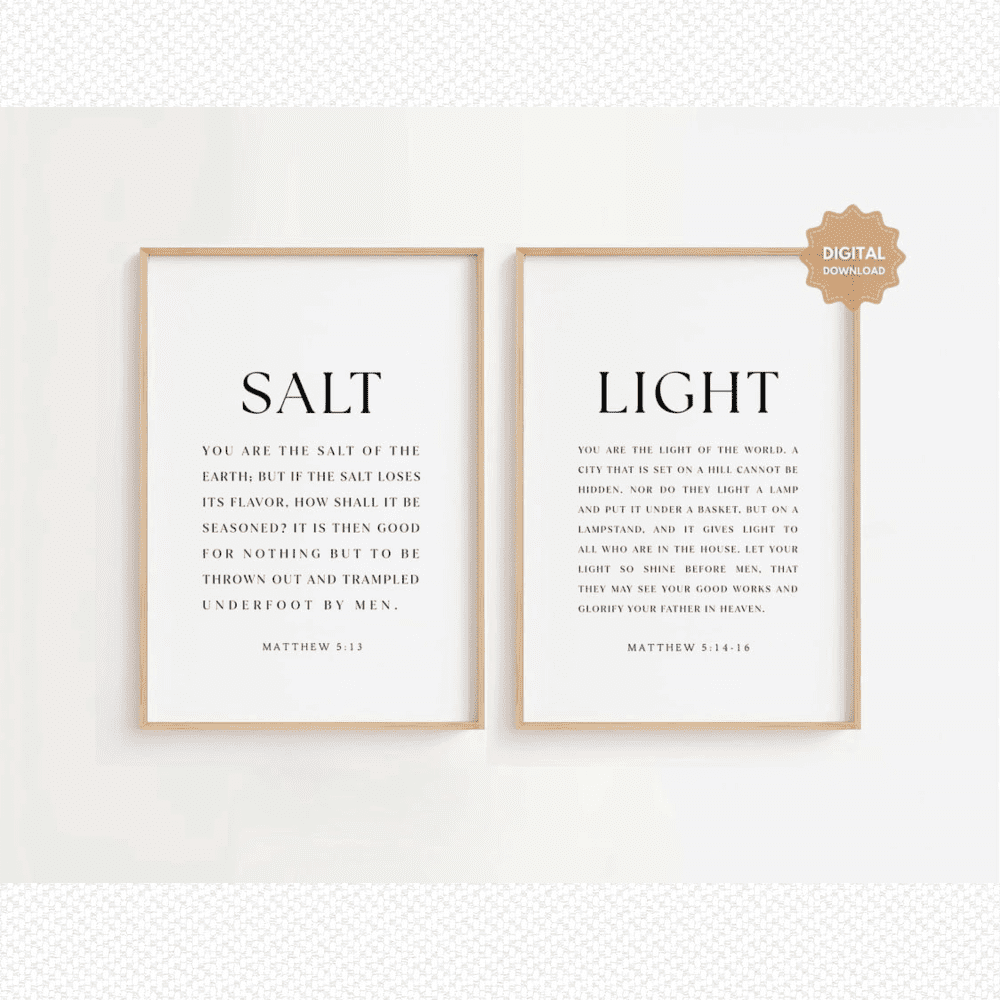 Salt Light Bible Verse Christian Minimalist Poster Prints , Stretched ...