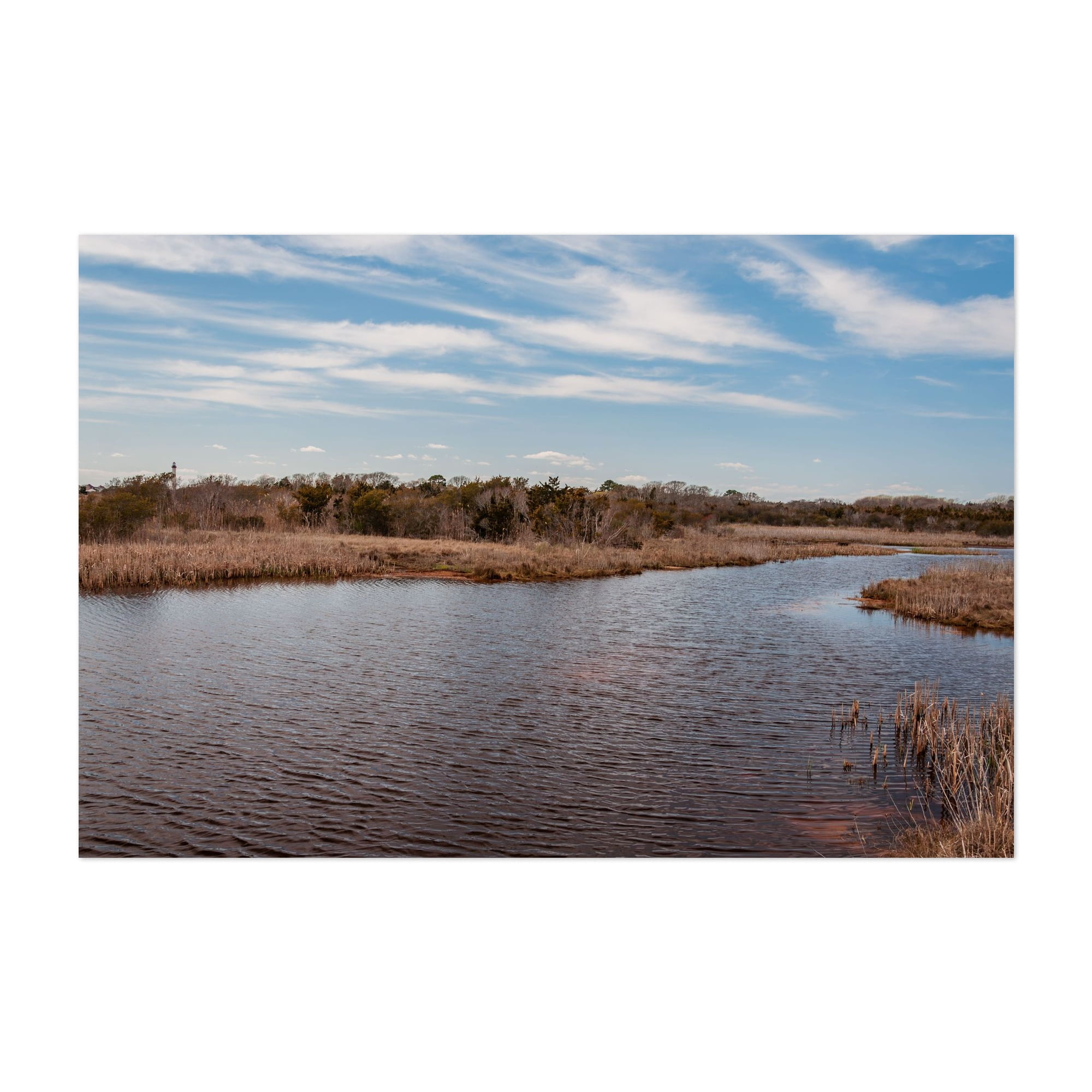 Salt Marsh, Cape May New Jersey - Cape May Point New Jersey Photography ...