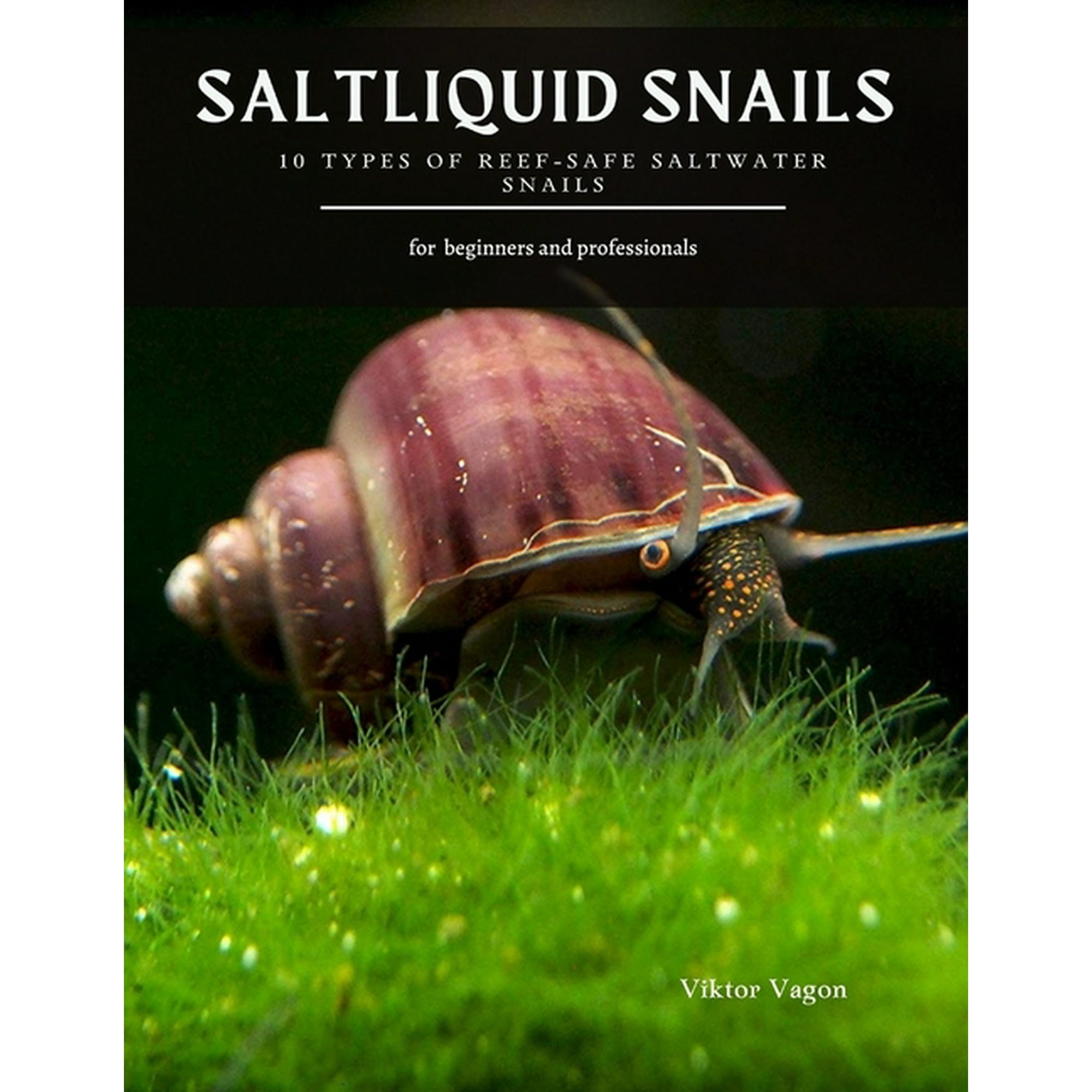 Snails And Salt