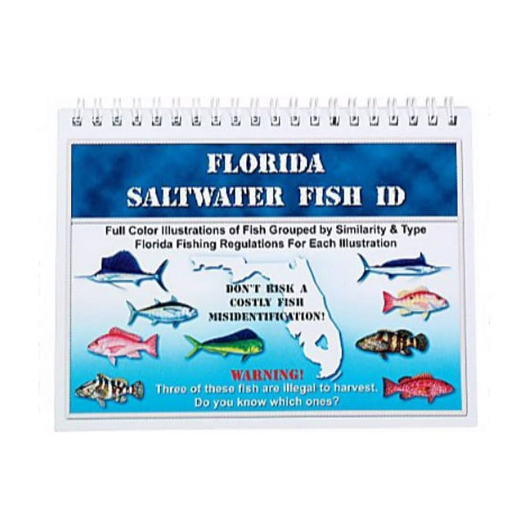 Atlantic Saltwater Fish Chart