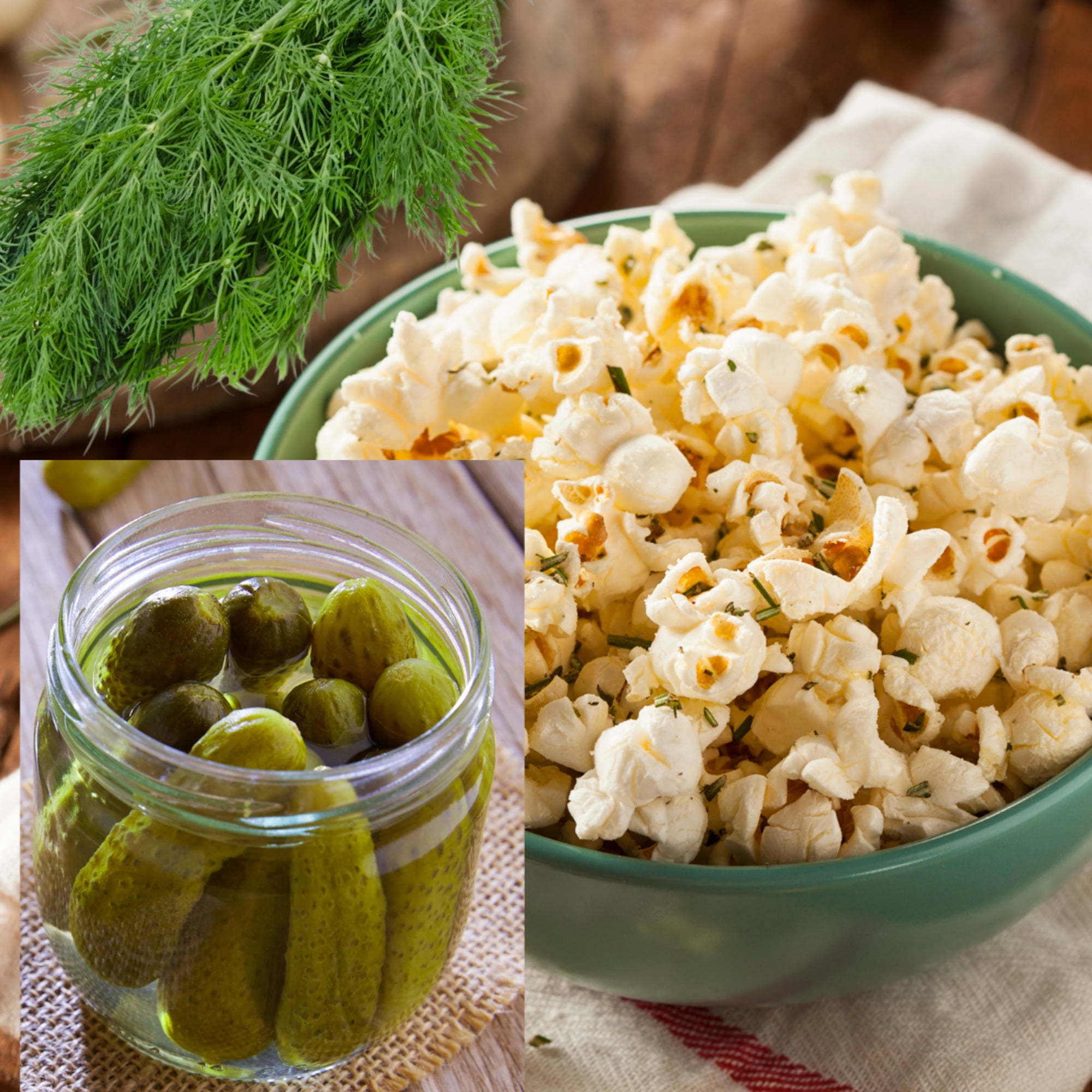 Salty Sisters Gourmet Popcorn - Dill Pickle Popcorn - Tall - 9 Cups ...