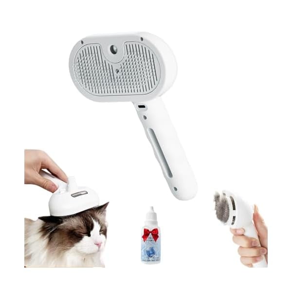 Saluqifa Kivori Pet Grooming Brush Steamer, 2025 New Steam Spray Brush ...
