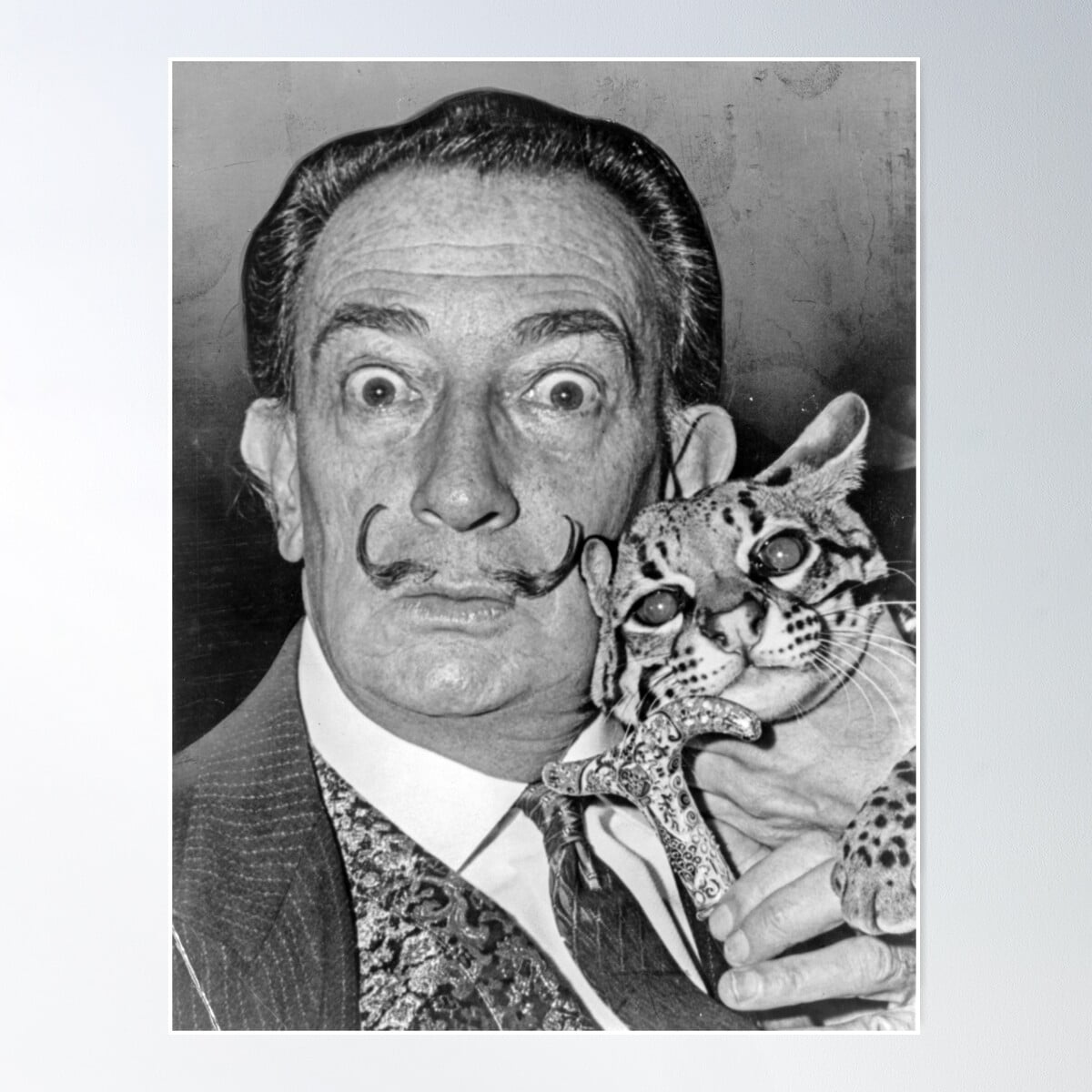 Salvador Dali Photo With Ocelot And Cane. Poster Wall Art, Modern Wall ...